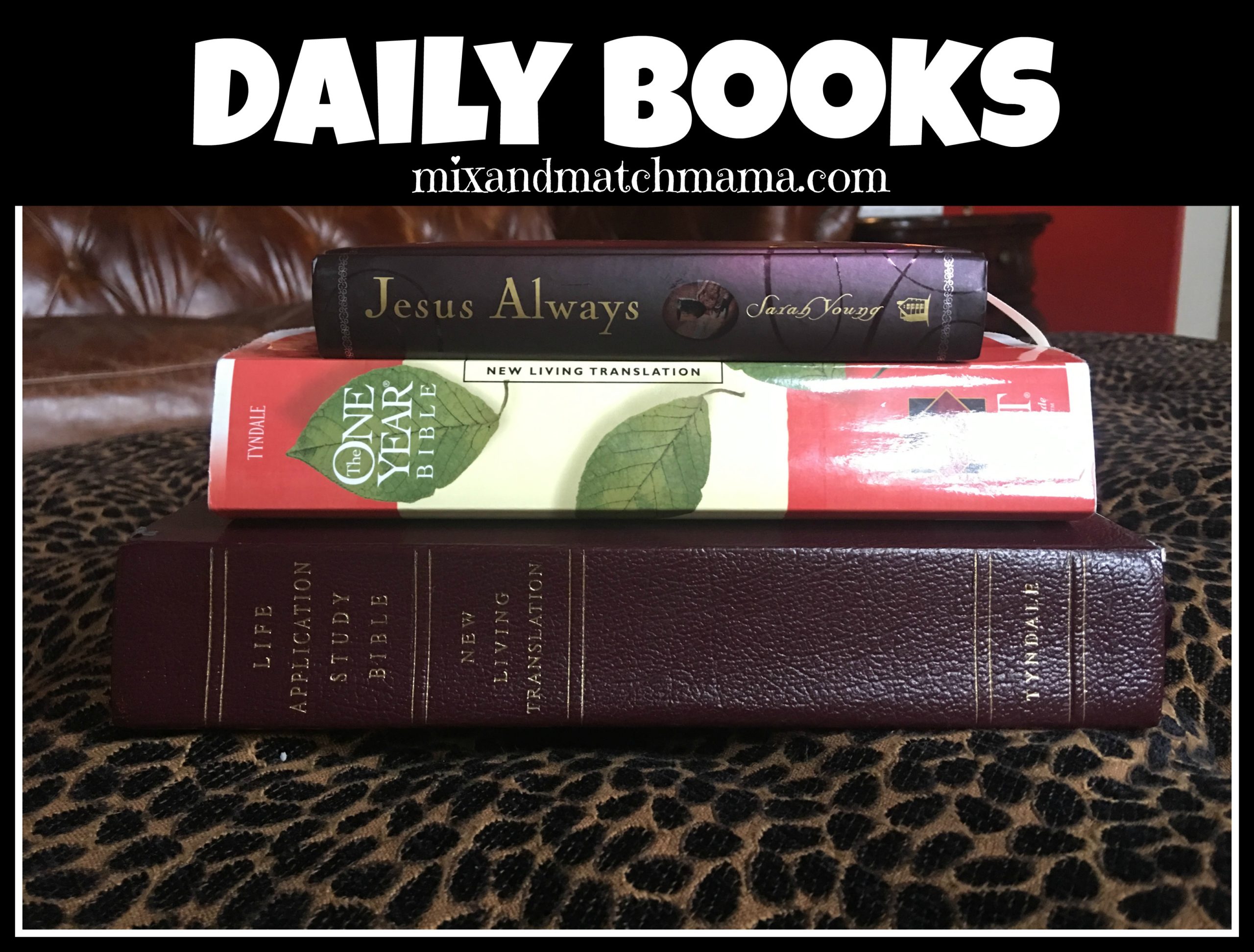Daily Books - Mix & Match Mama