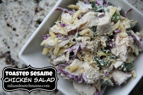 Toasted Sesame Chicken Salad Recipe | Mix and Match Mama