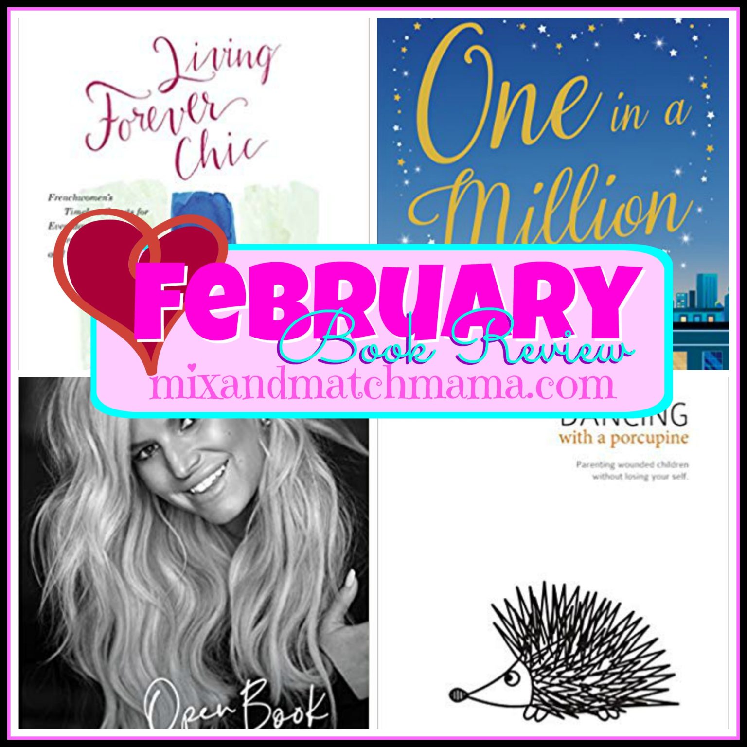 February 2020 Book Review - Mix & Match Mama