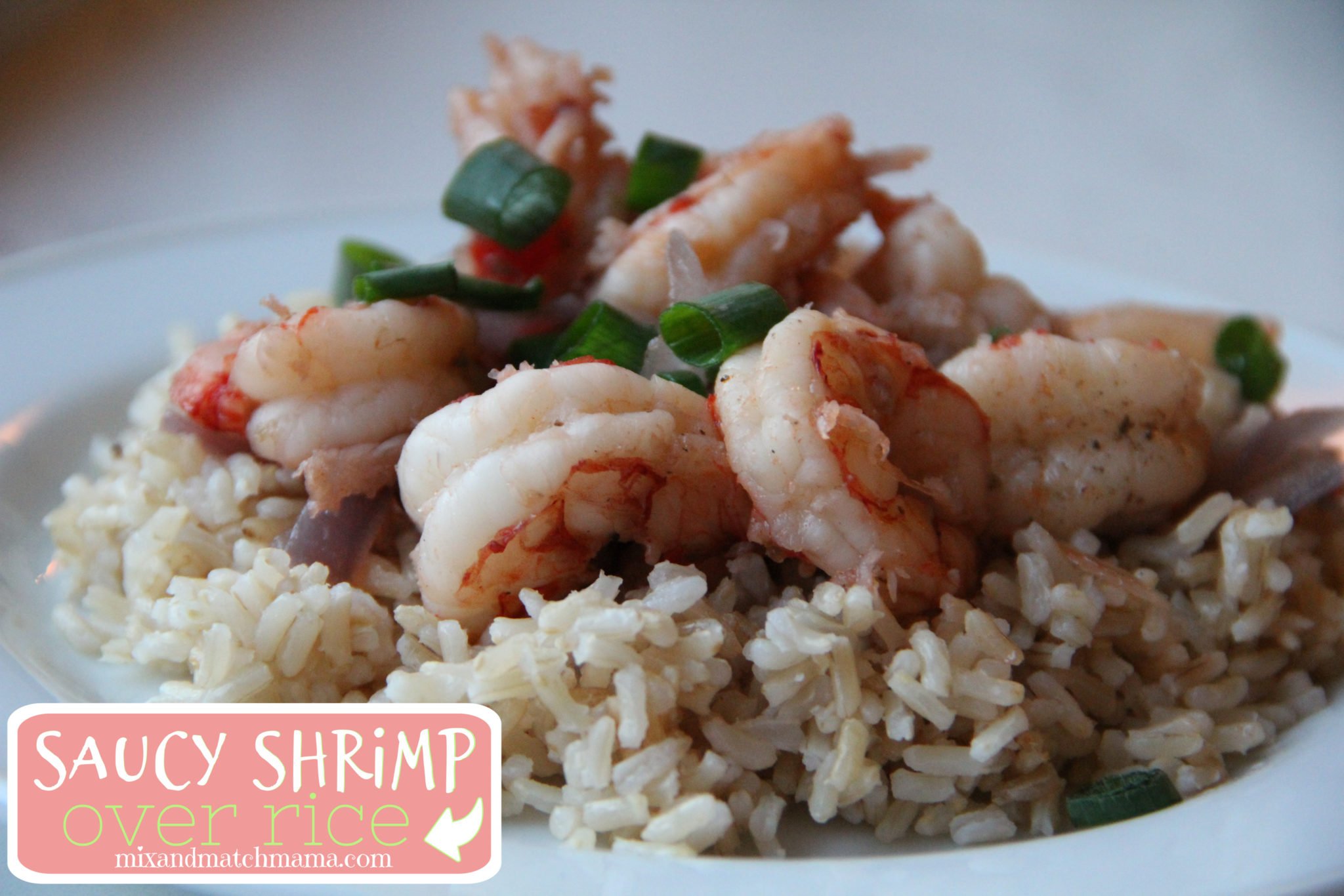 Saucy Shrimp over Rice - Mix & Match Mama