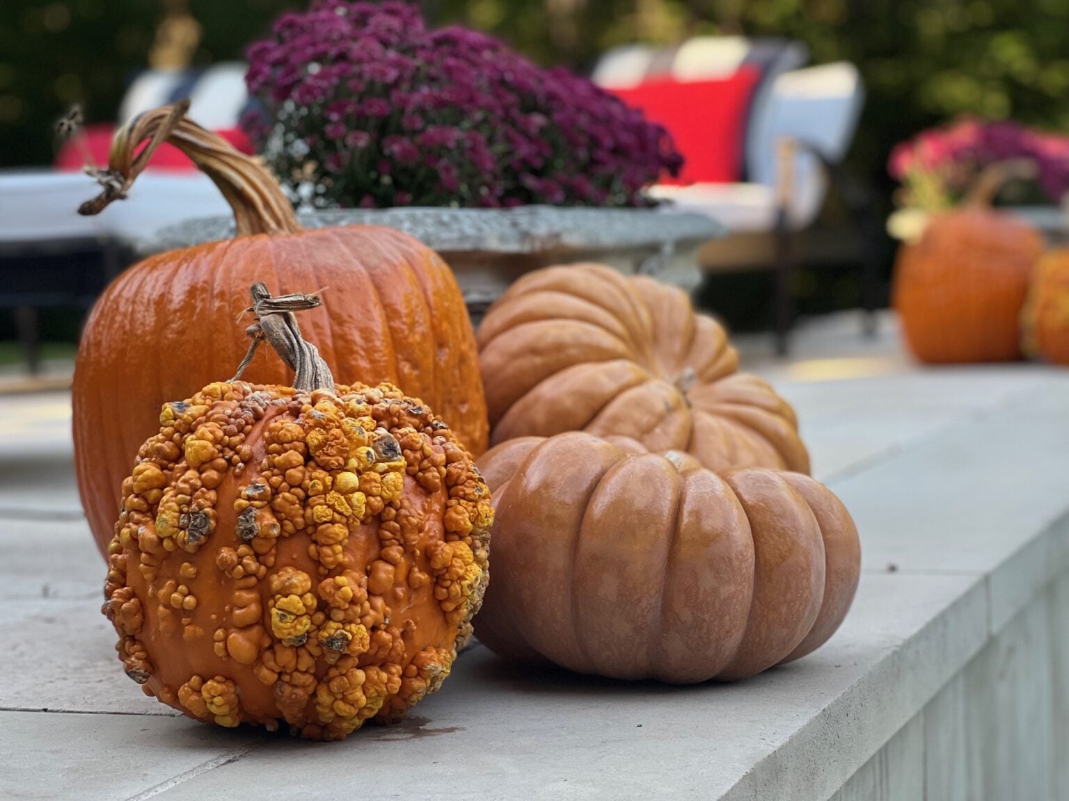 Gourd-geous Pumpkins! - Mix & Match Mama
