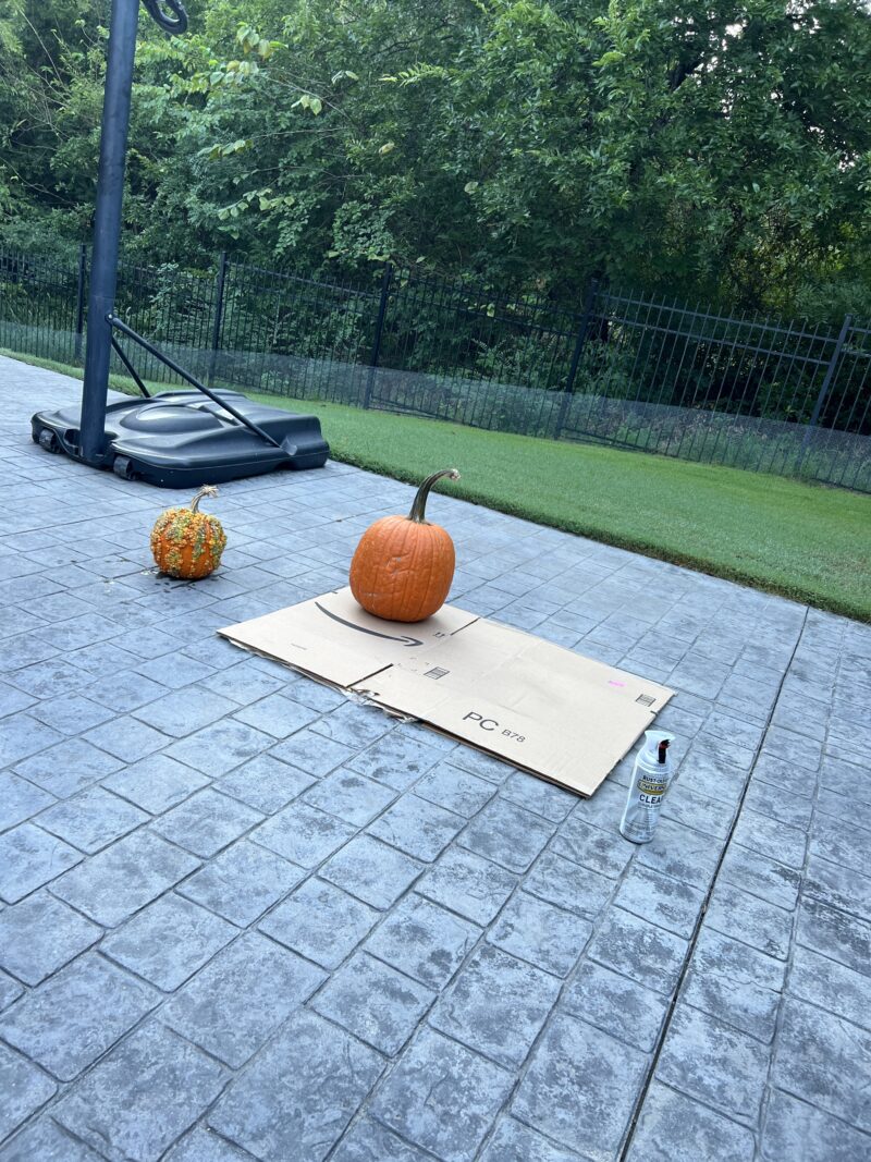 Gourd-geous Pumpkins! - Mix & Match Mama
