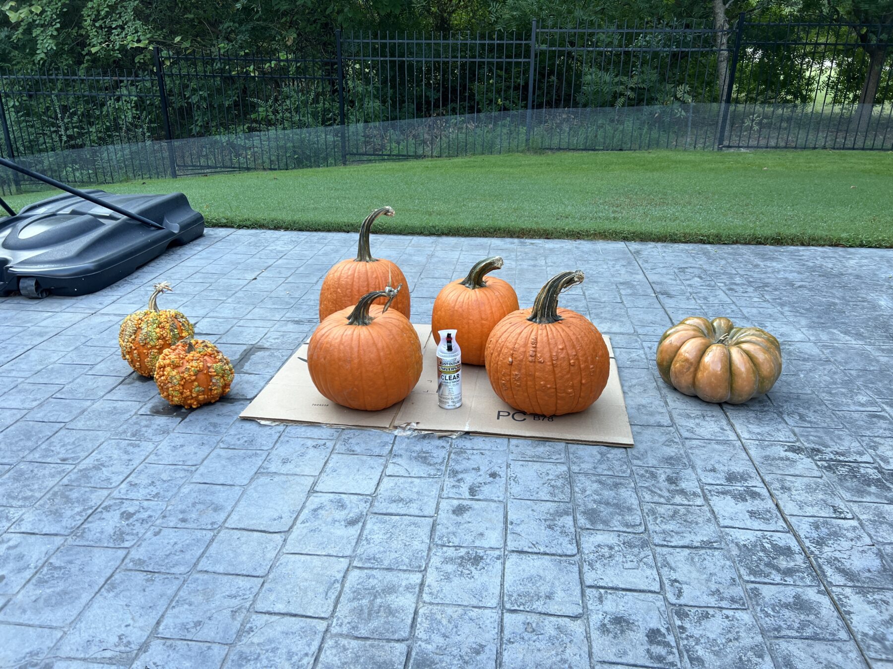 Gourd-geous Pumpkins! - Mix & Match Mama