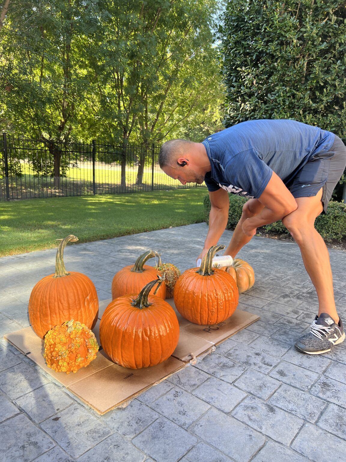 Gourd-geous Pumpkins! - Mix & Match Mama