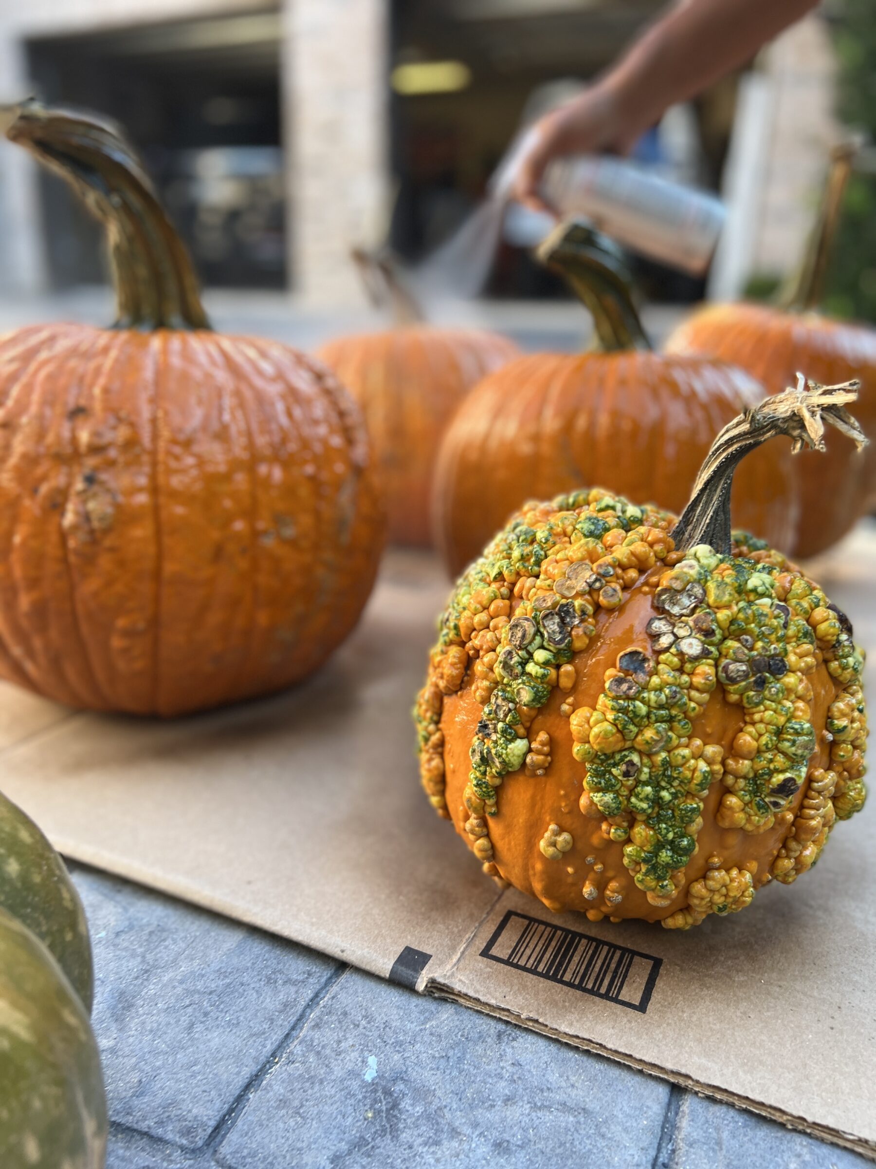 Gourd-geous Pumpkins! - Mix & Match Mama