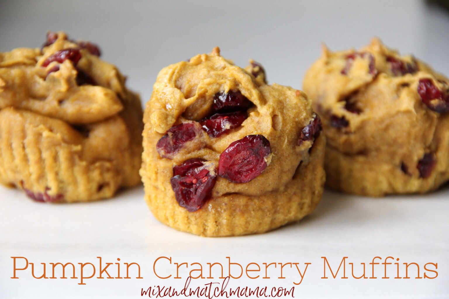 Pumpkin Cranberry Muffins - Mix & Match Mama
