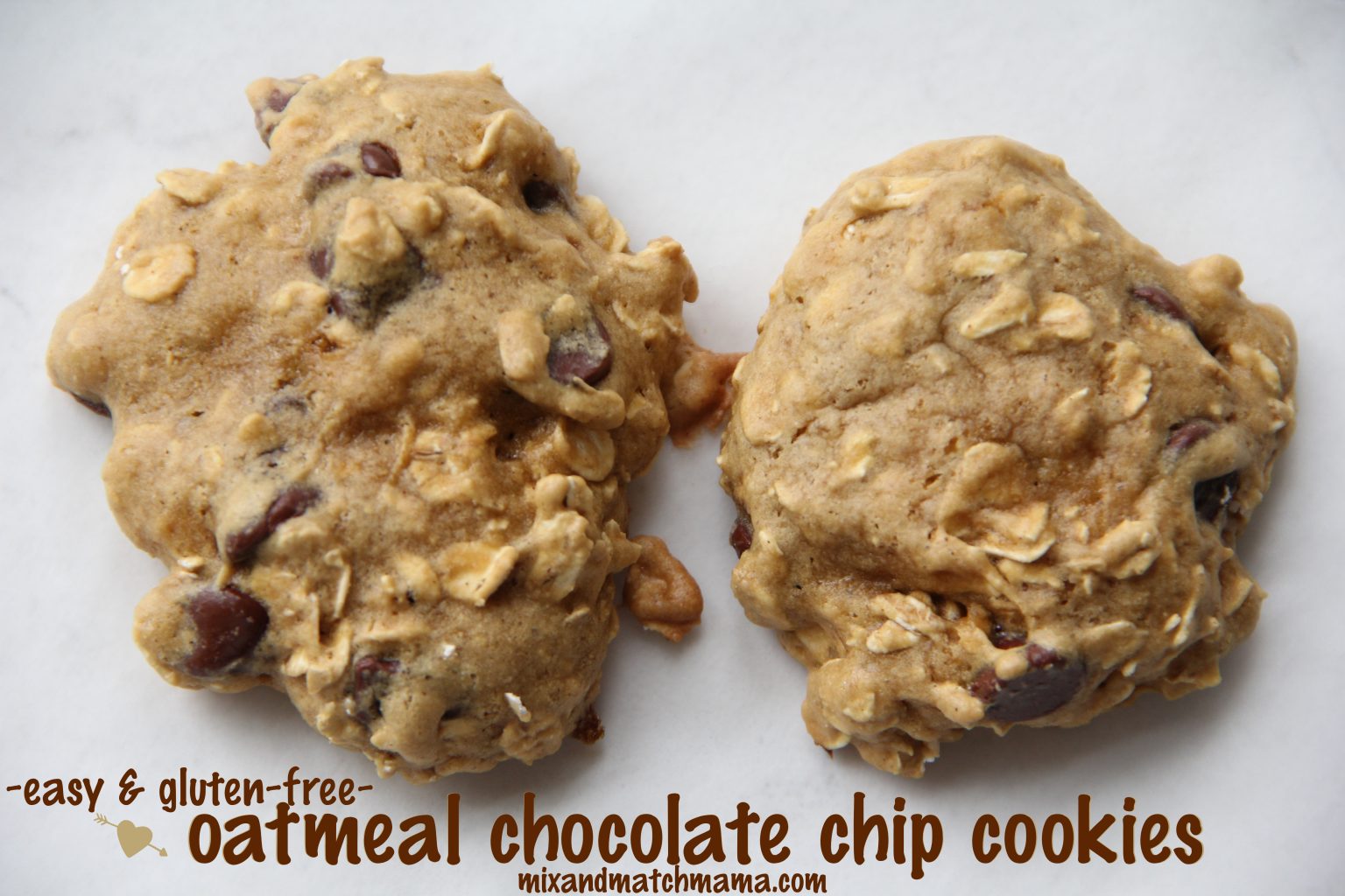 Easy & Gluten-Free Oatmeal Chocolate Chip Cookies - Mix & Match Mama