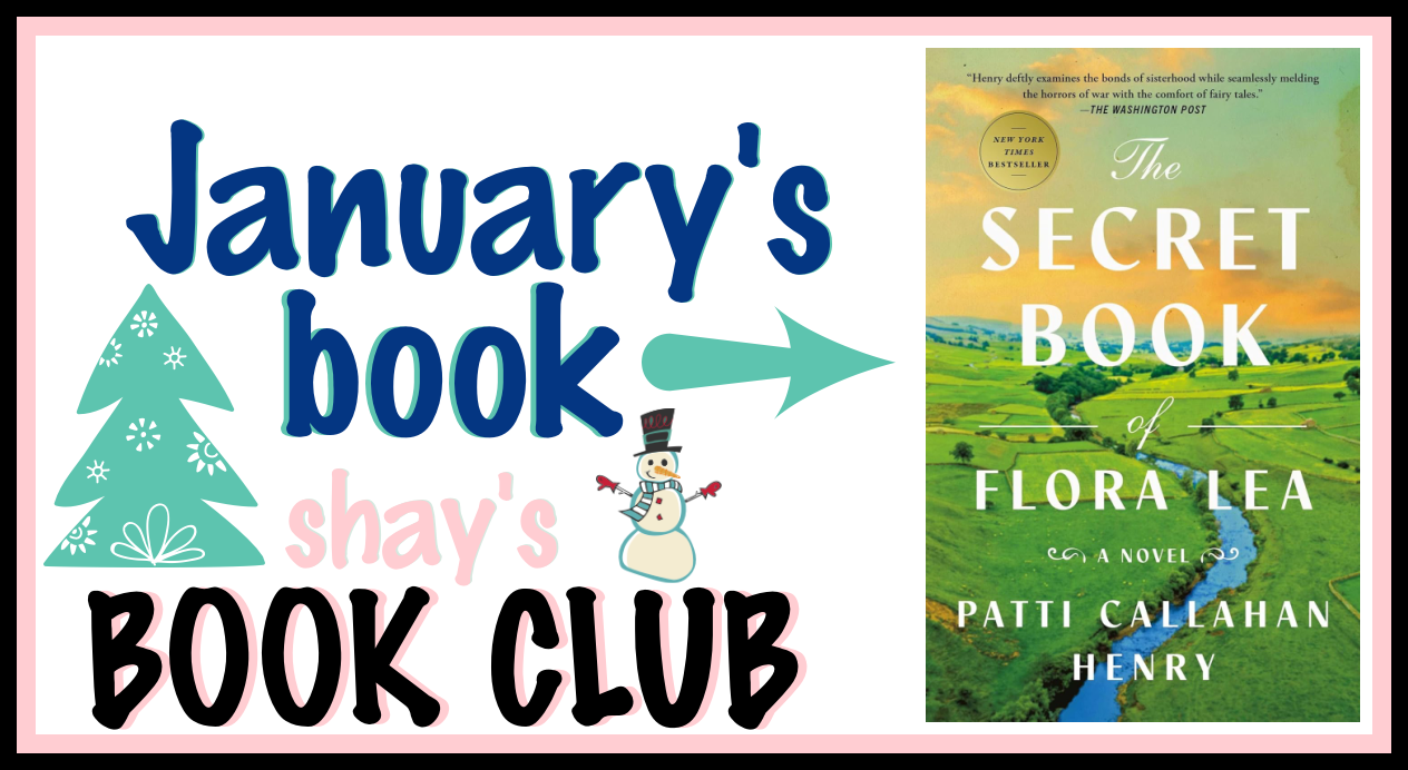 January 2025 Book Review - Mix & Match Mama