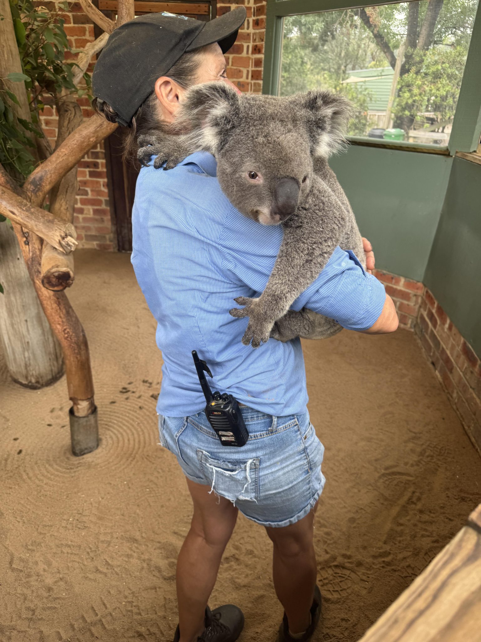 Australia PART 3: Blue Mountains, Kangaroos & Koalas - Mix & Match Mama