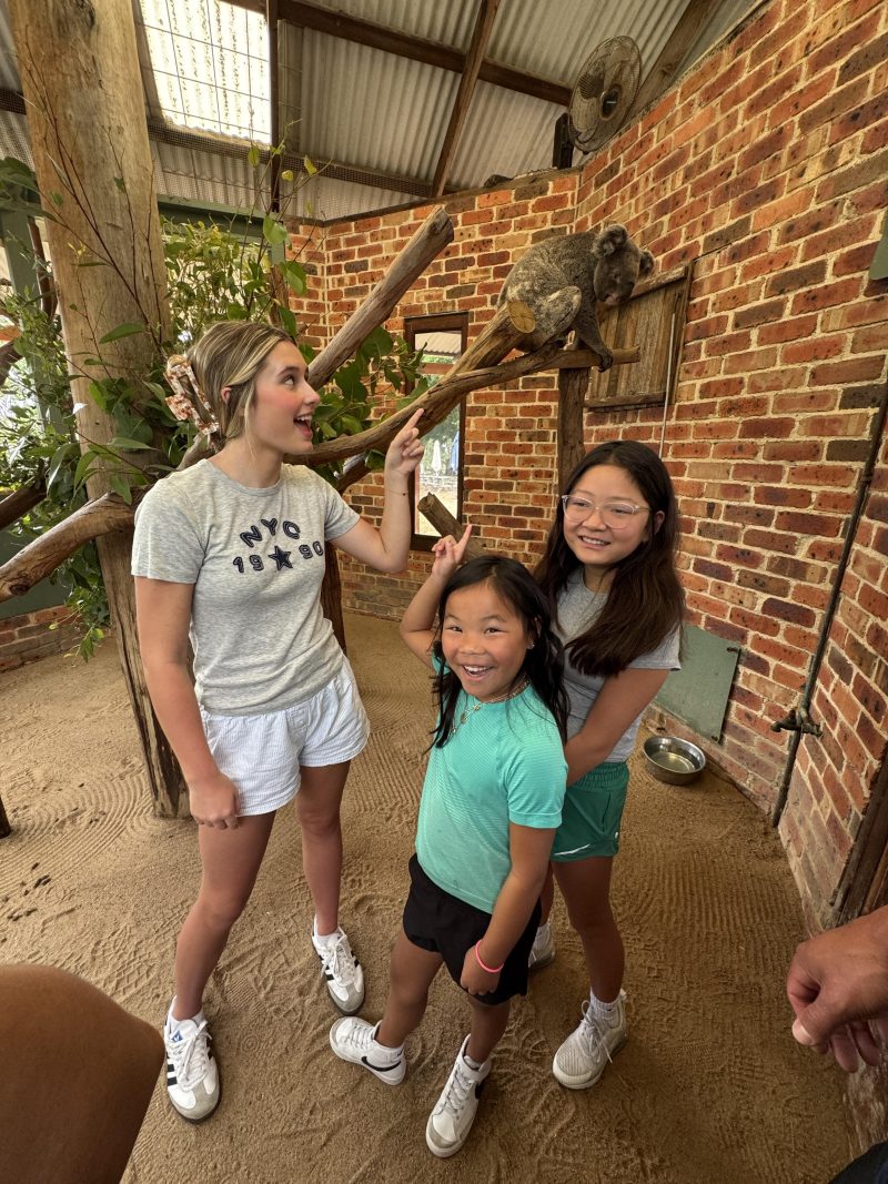 Australia PART 3: Blue Mountains, Kangaroos & Koalas - Mix & Match Mama