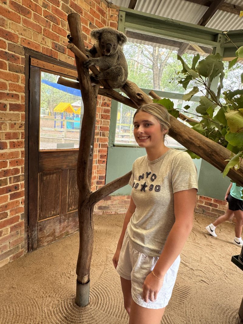 Australia PART 3: Blue Mountains, Kangaroos & Koalas - Mix & Match Mama