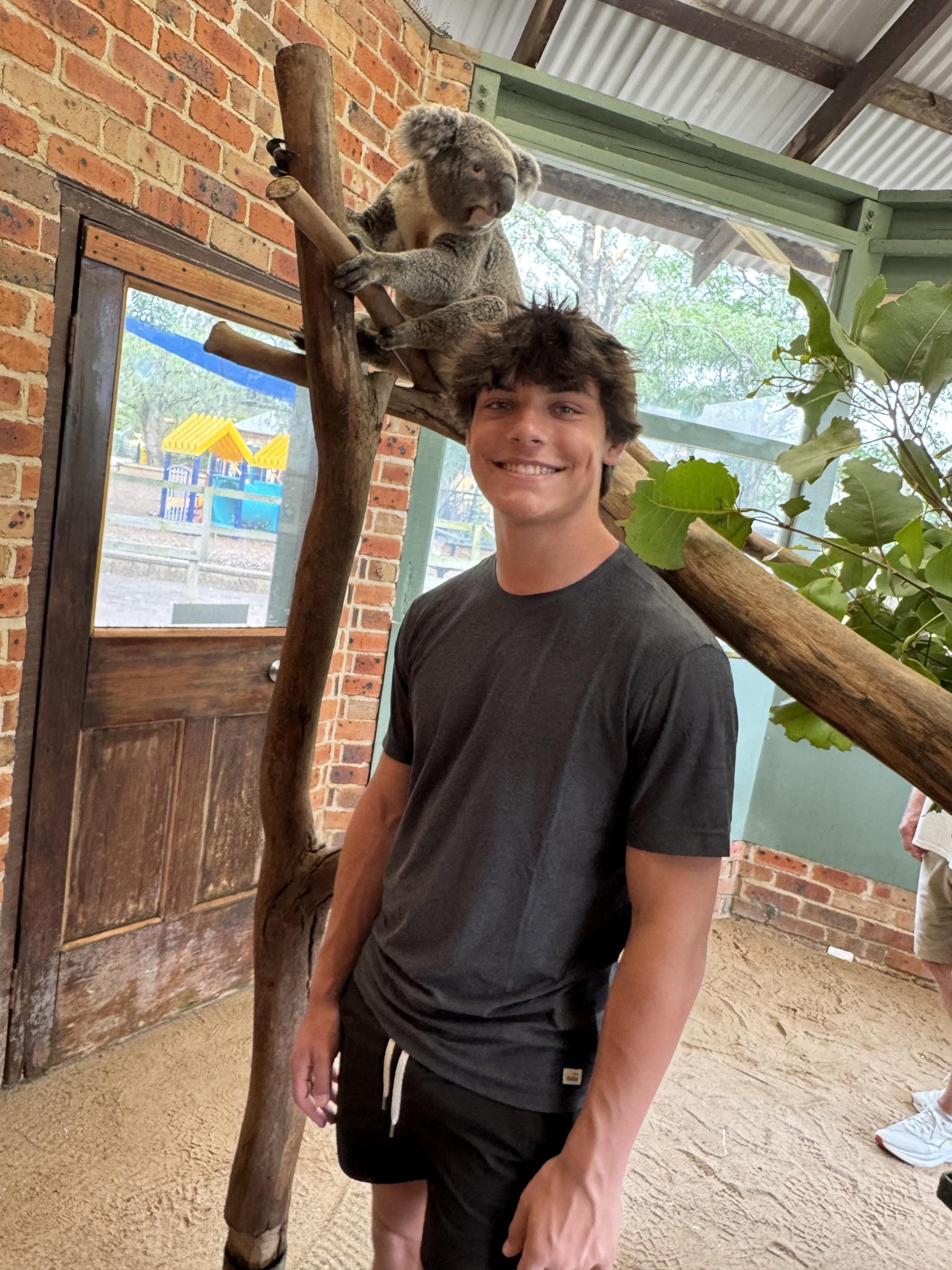 Australia PART 3: Blue Mountains, Kangaroos & Koalas - Mix & Match Mama