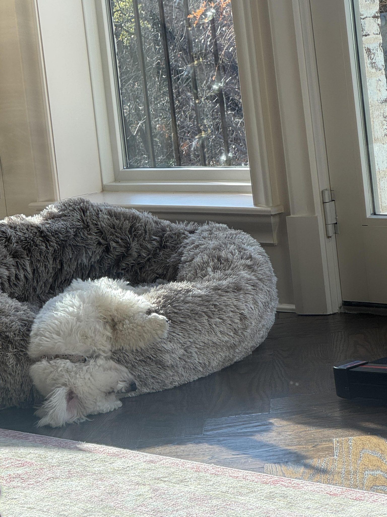 10 Random Things: FEBRUARY EDITION - Mix & Match Mama