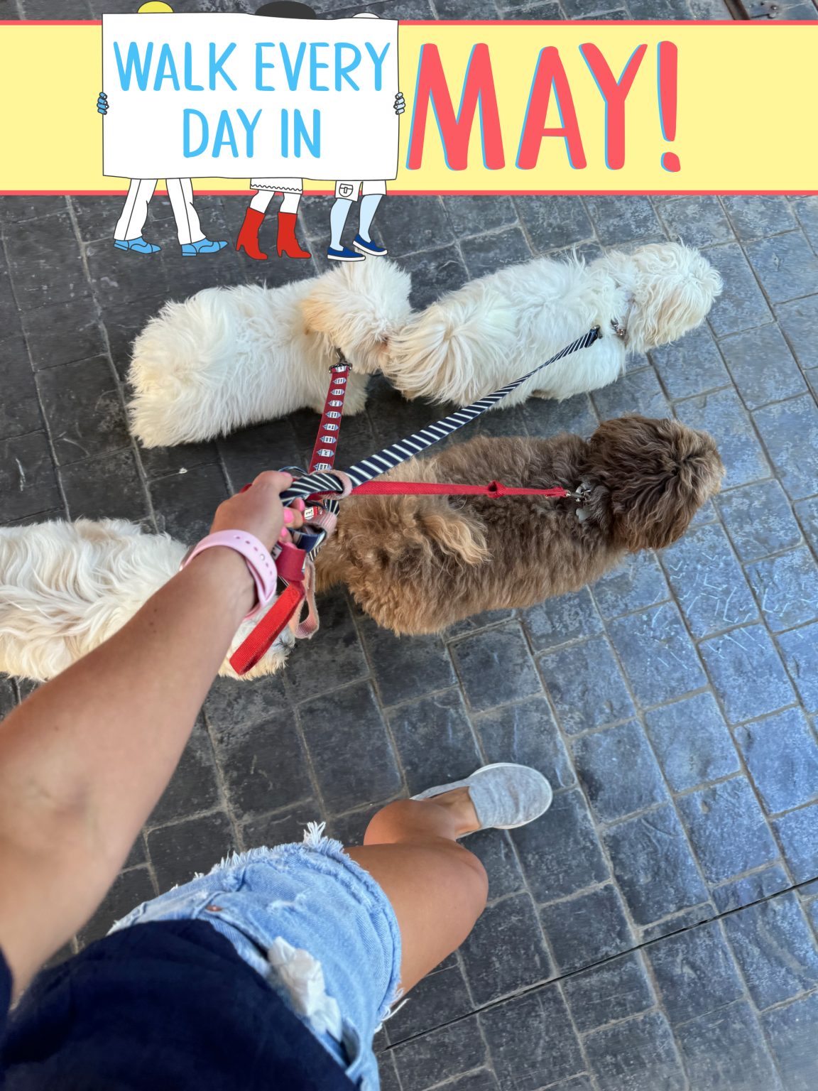 Walk Every Day in May! - Mix & Match Mama