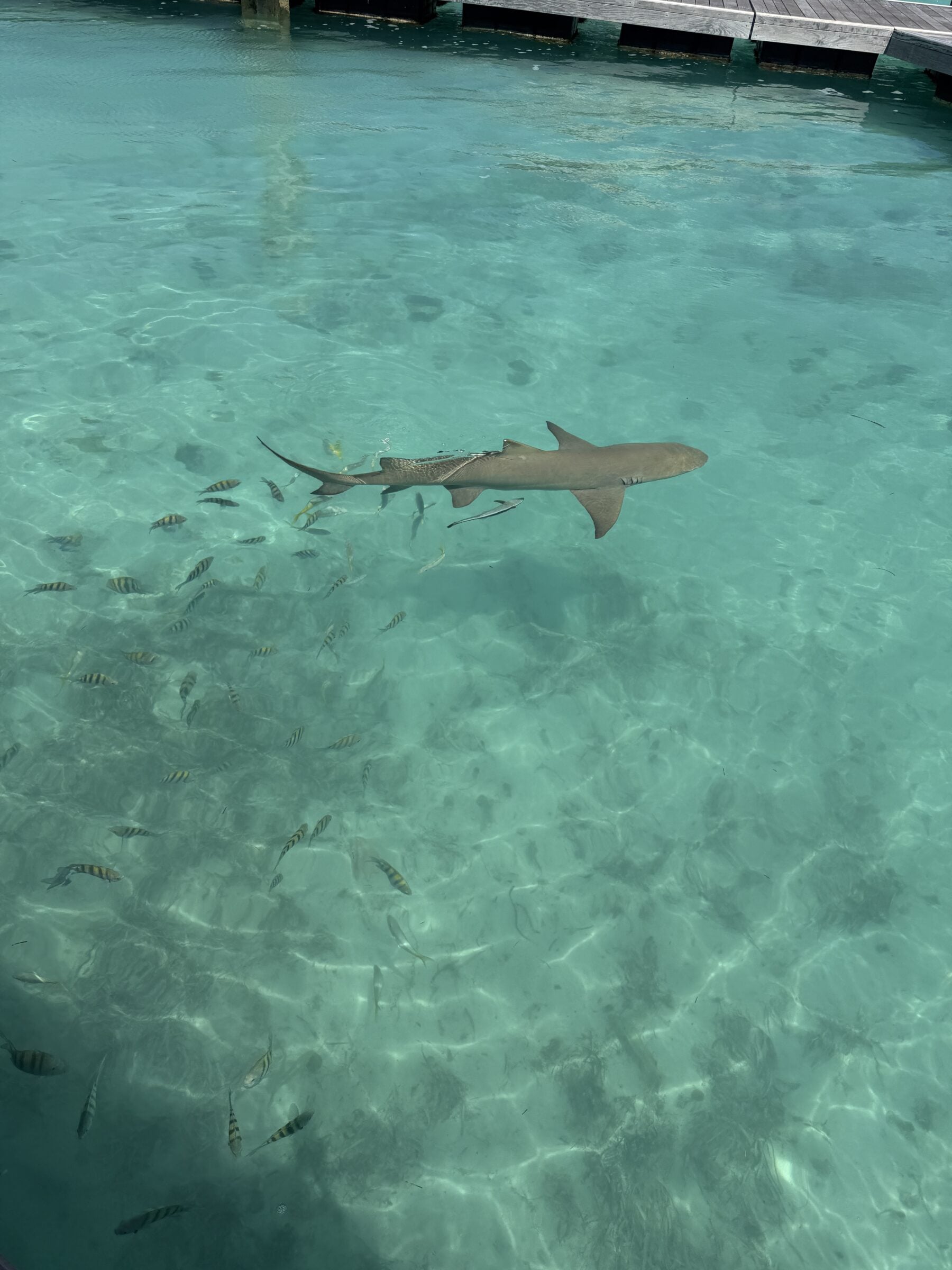 IMG_2542 - Mix & Match Mama